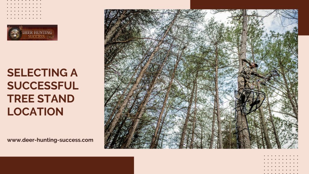 Deer Hunting Success - Experience the thrill of the hunt and the ...