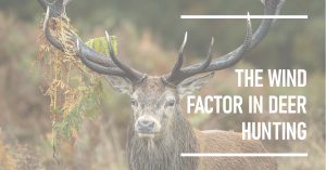 Deer Hunting Success - Experience the thrill of the hunt and the ...