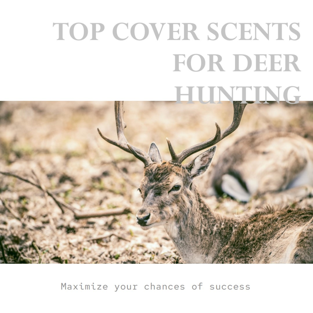 The Ultimate Guide to the Best Cover Scents for Deer Hunting in 2024