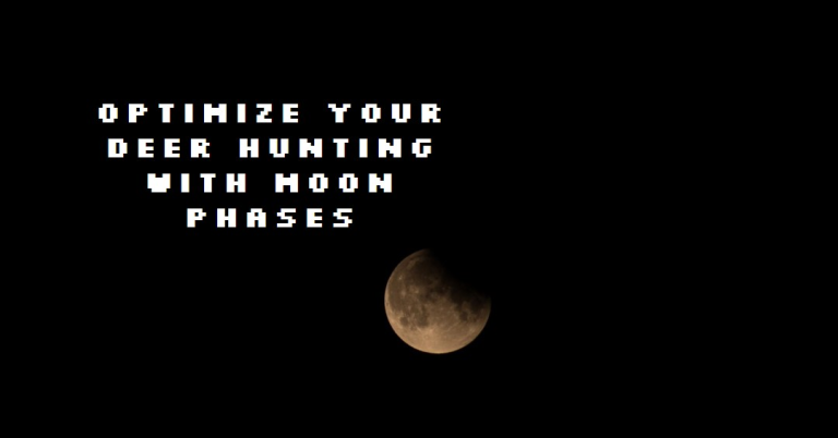 How the Moon Impacts Deer Movement: A Hunter's Complete Guide to Lunar ...