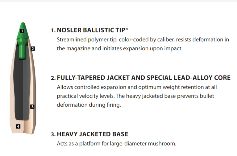 Best 5.56 Ammo for Deer Hunting: A Comprehensive Guide - Deer Hunting ...